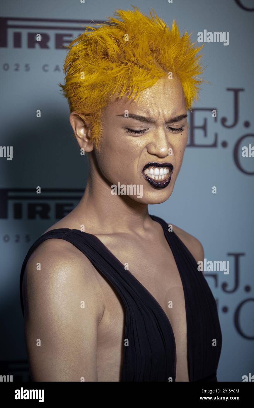 London, UK. 12th November 2024. Model and fashion director, Dara Allen ...