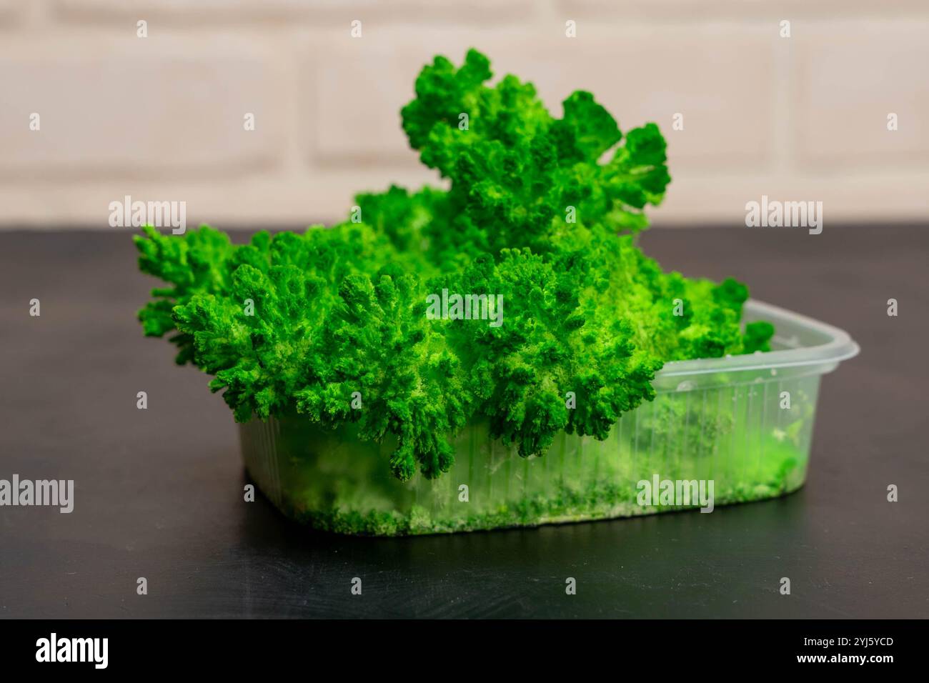 Plastic container with a bright green chemical solution in which ...