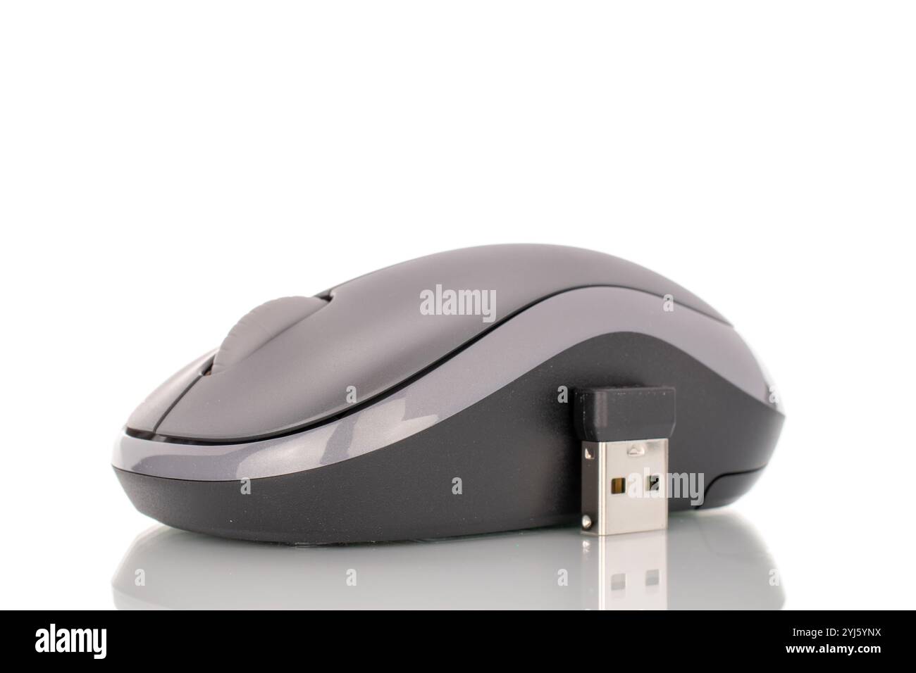 One wireless computer mouse, macro, isolated on white background Stock ...