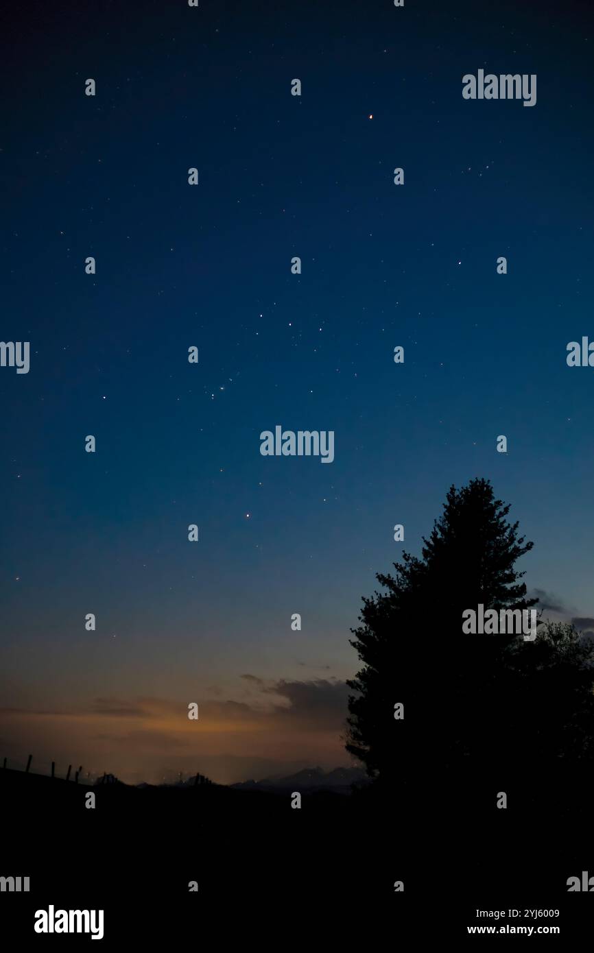 A serene night sky filled with twinkling stars above a peaceful forest ...