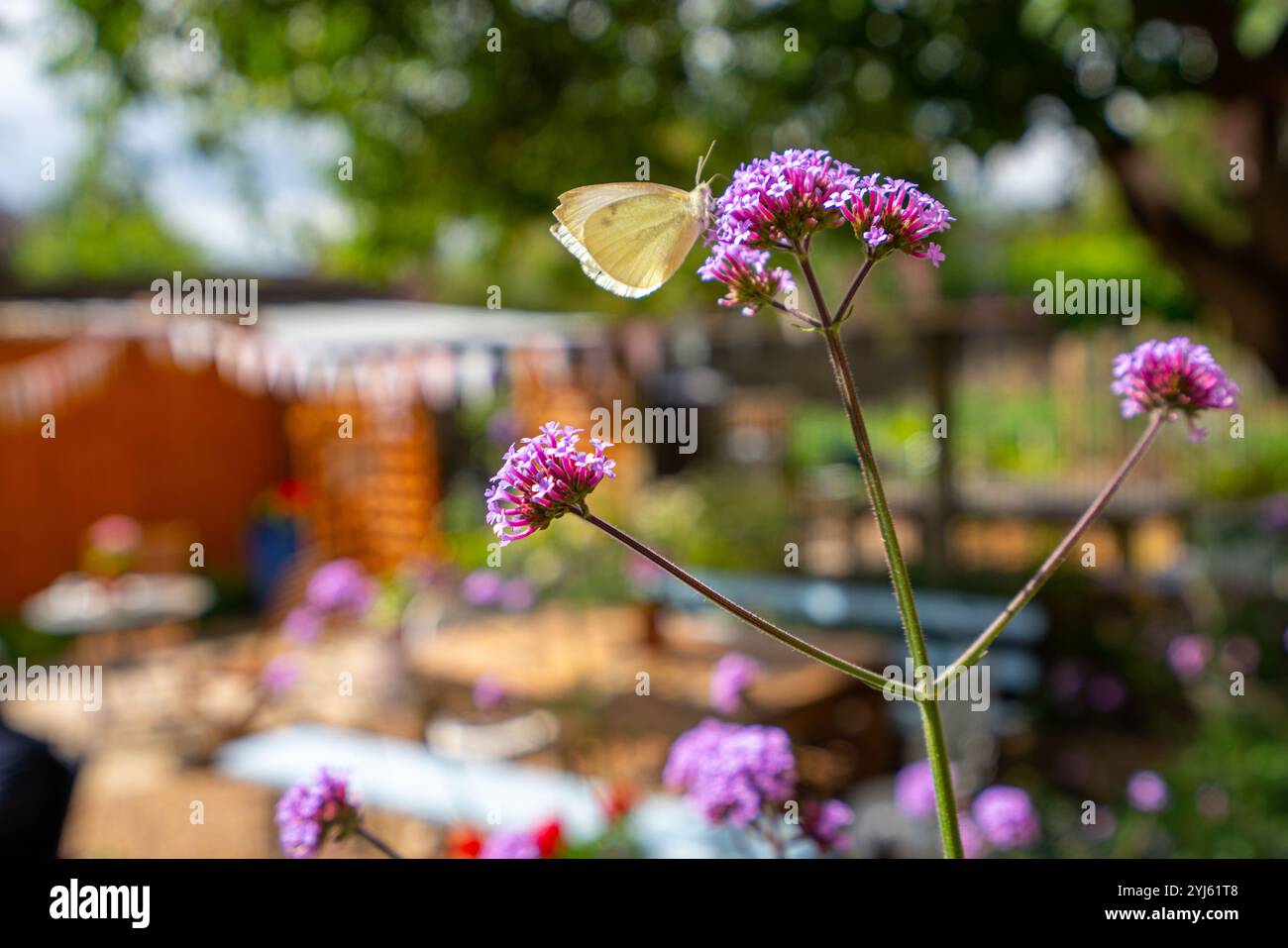 flowers and cafe food are in abundance at The Sarratt Green village ...