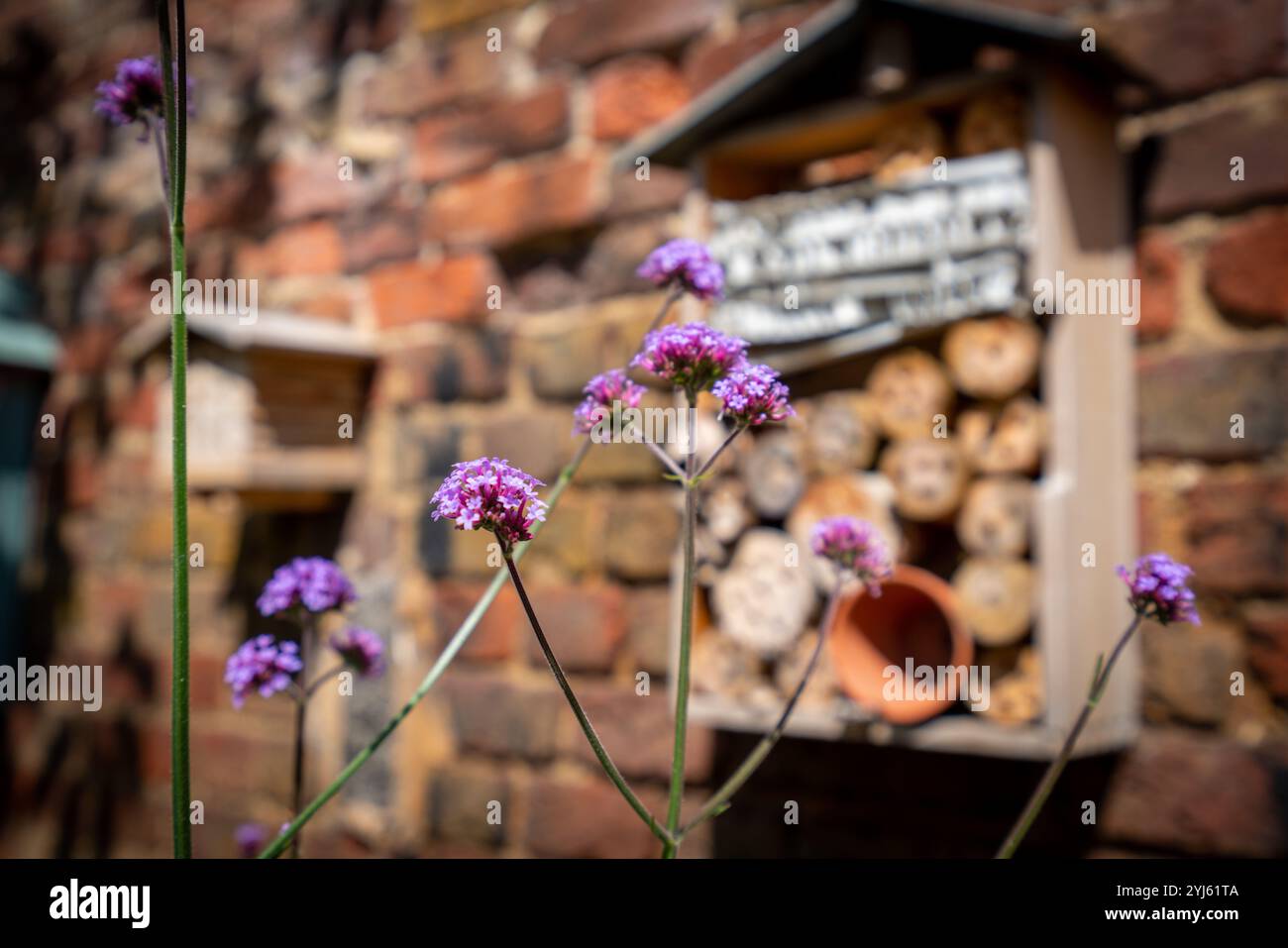 flowers and cafe food are in abundance at The Sarratt Green village ...