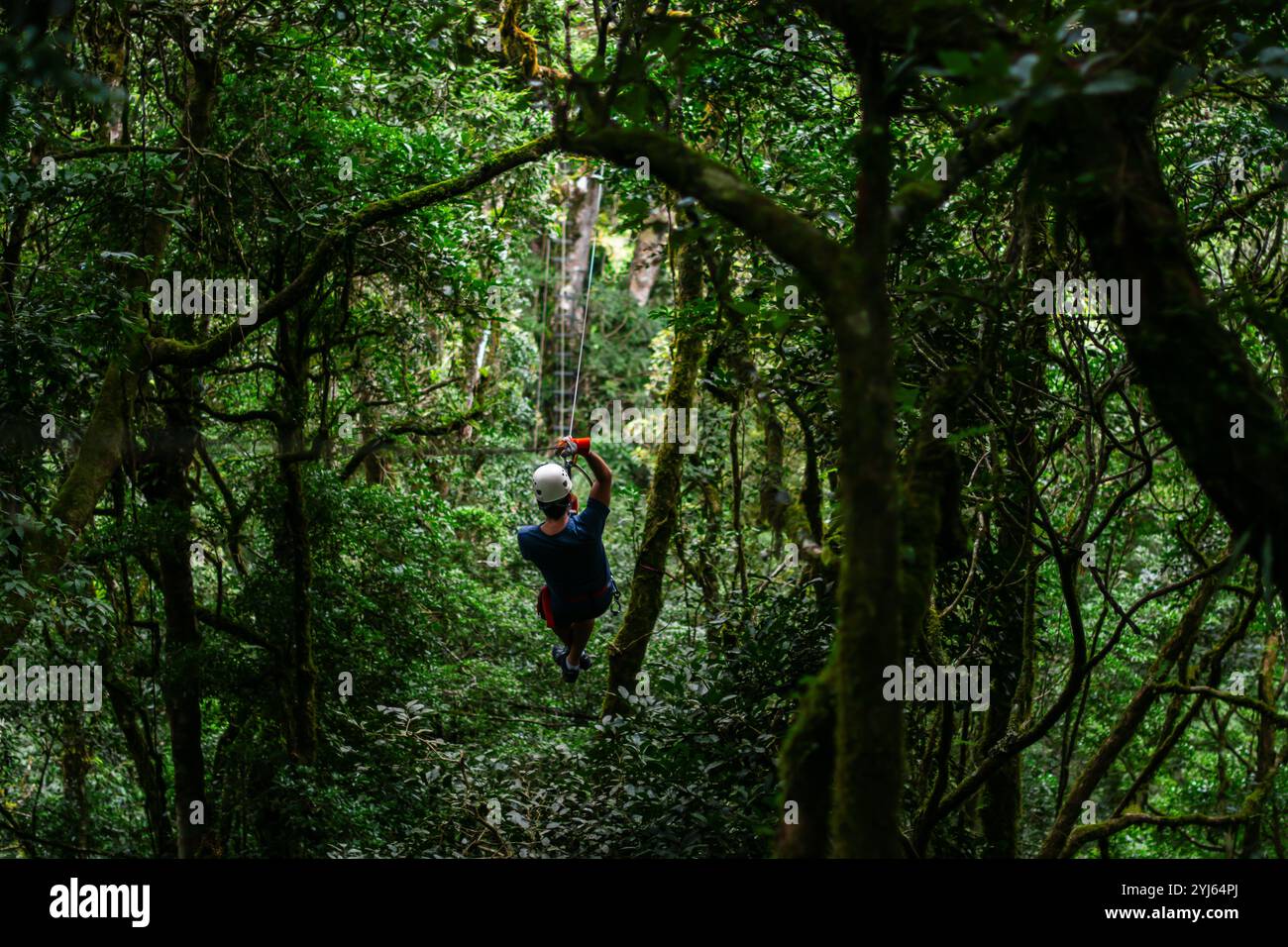 Costa rica aerial landscape lush hi-res stock photography and images ...