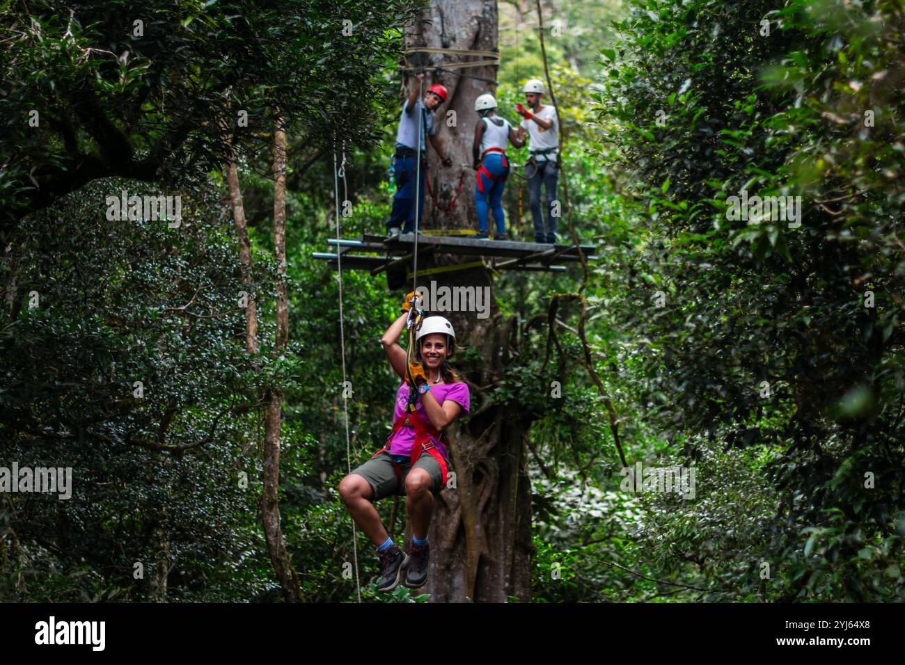 Canopy tour in Costa Rica Stock Photo - Alamy