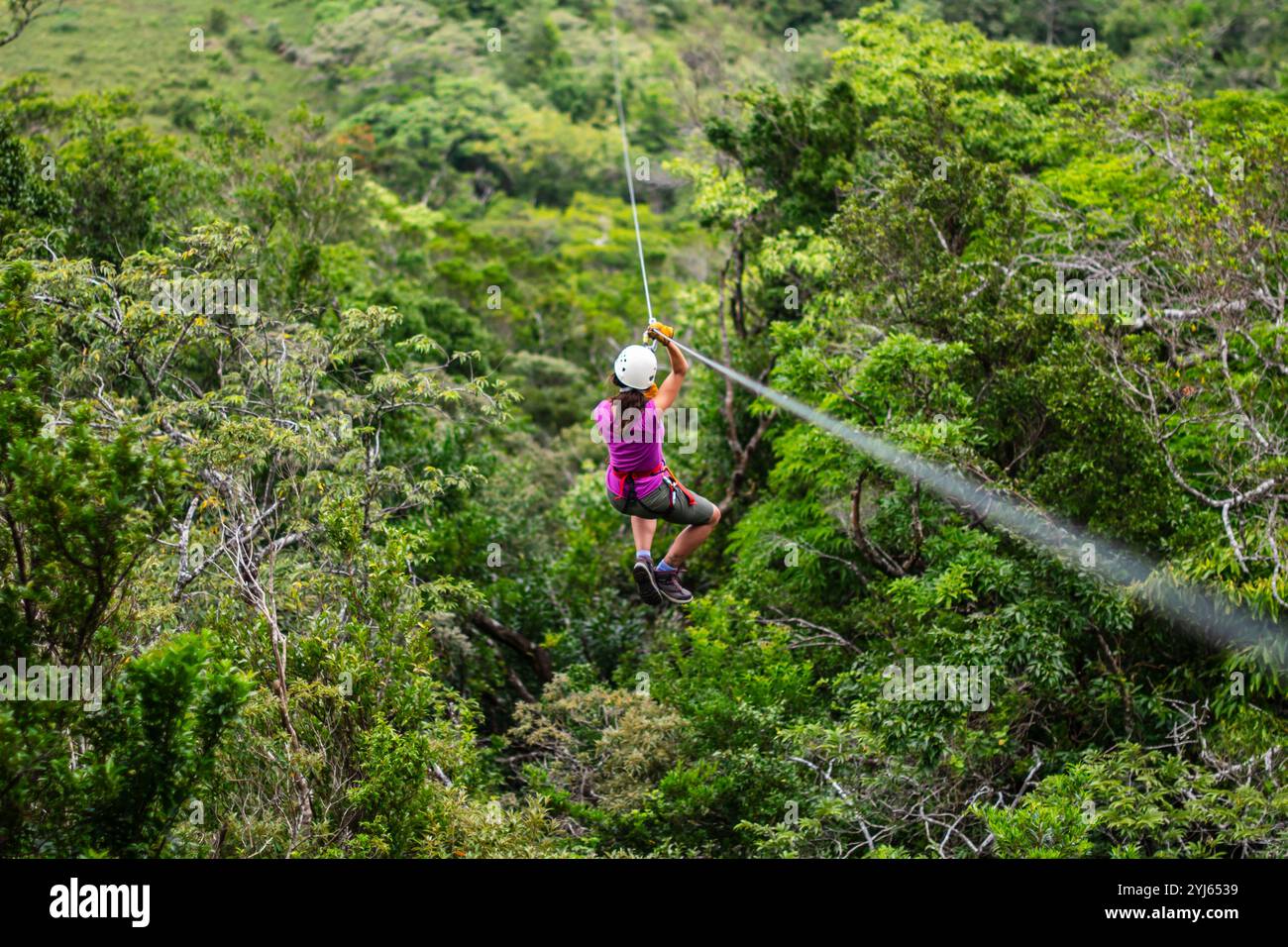 Jungle canopy zip lining hi-res stock photography and images - Alamy
