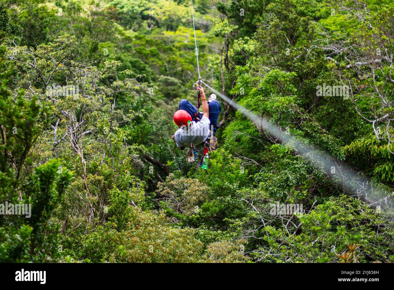 Canopy tour in Costa Rica Stock Photo - Alamy