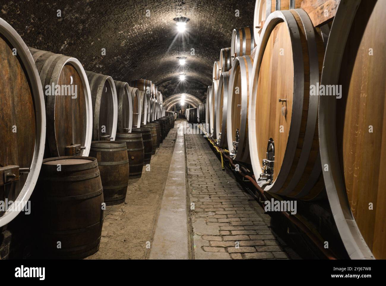Old Ilok wine cellars with wooden barrels Stock Photo - Alamy