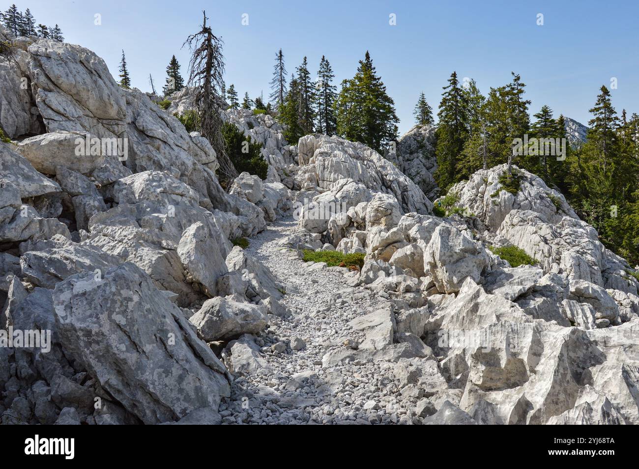 Premuzic hiking trail at Northern Velebit, longest and most beautiful ...