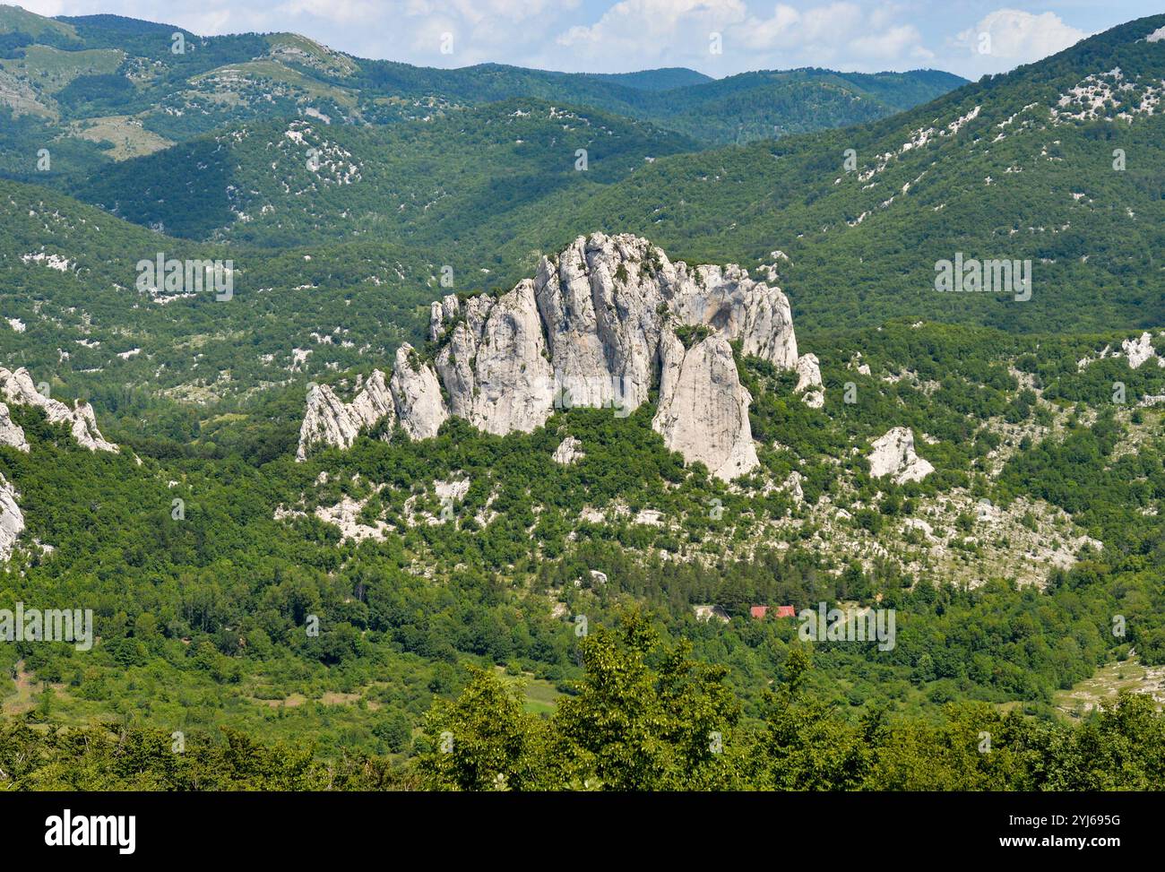 Ravni dabar hi-res stock photography and images - Alamy