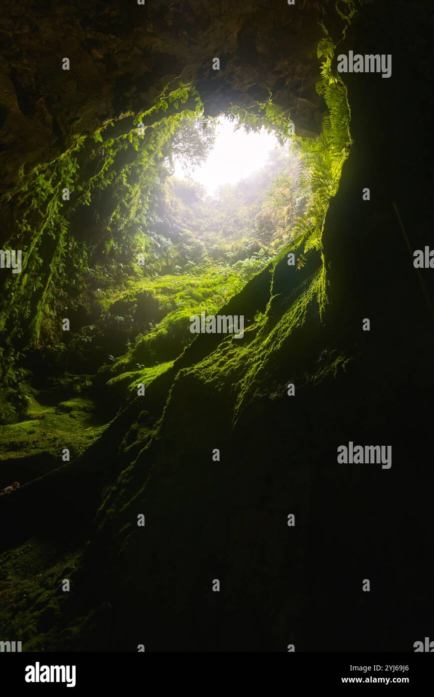 The Algar do Carvão is a lava tube located in the central part of the ...