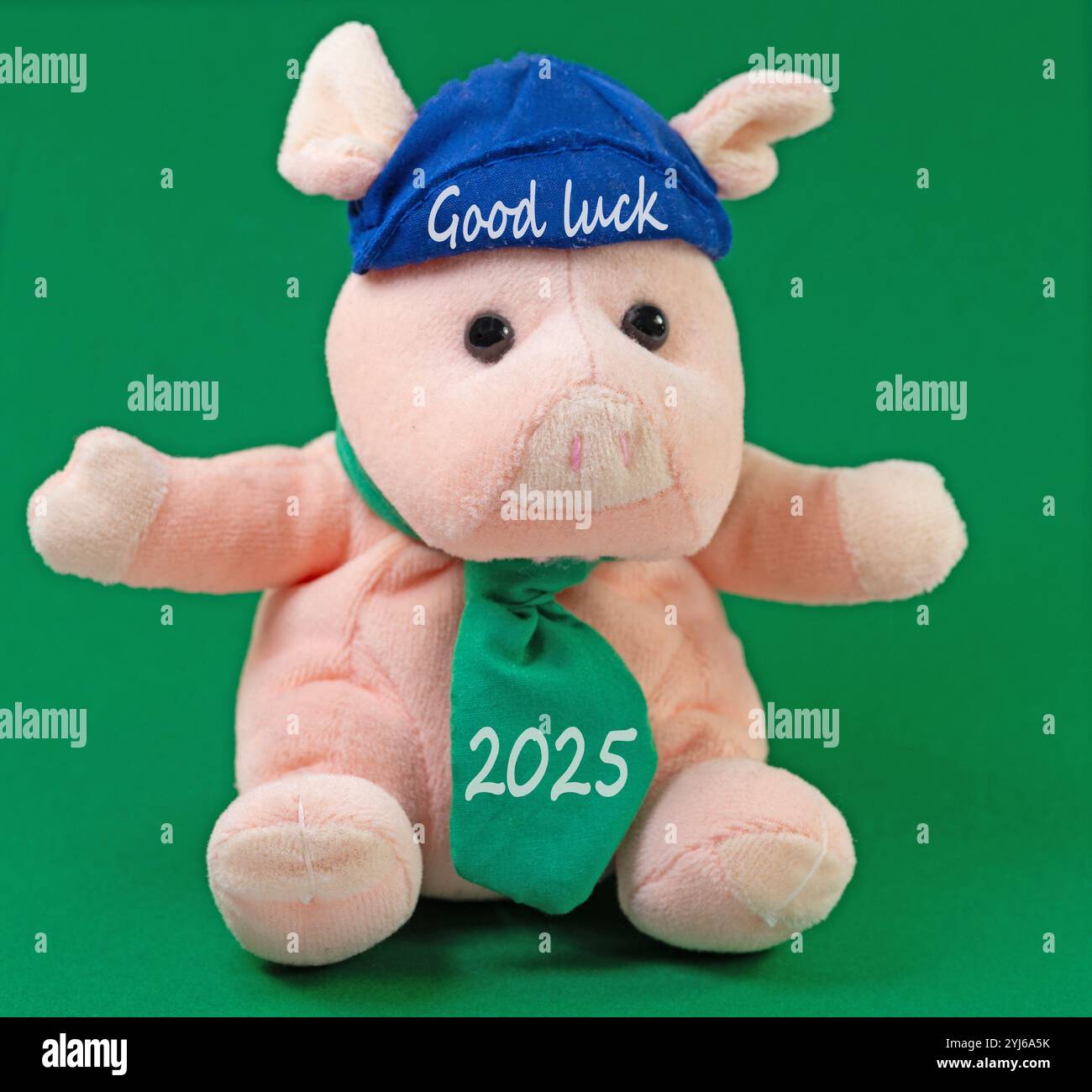 Plush pig with the inscription “Good luck 2025” Stock Photo - Alamy