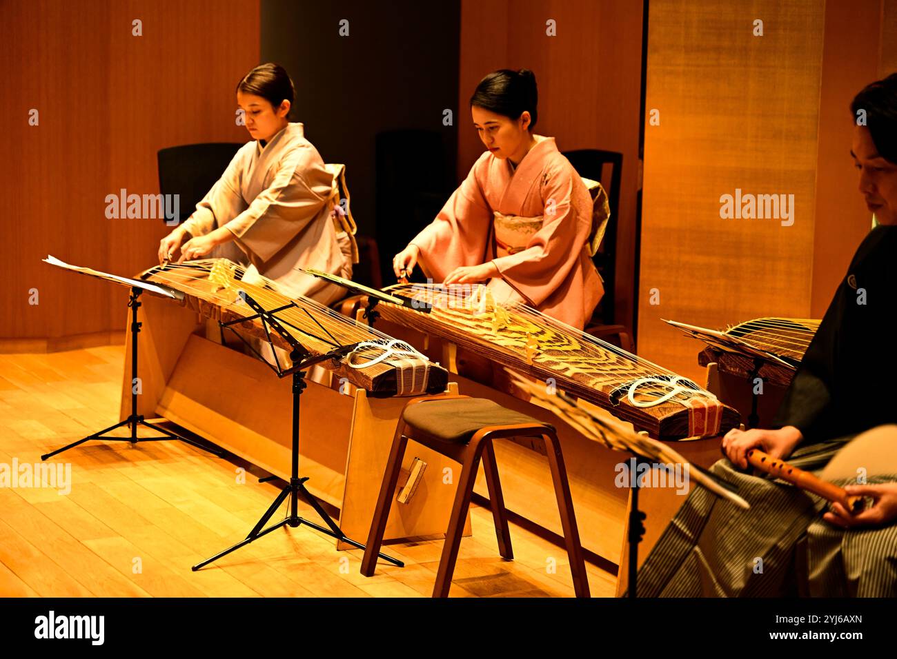 Ancient music instruments hi-res stock photography and images - Alamy