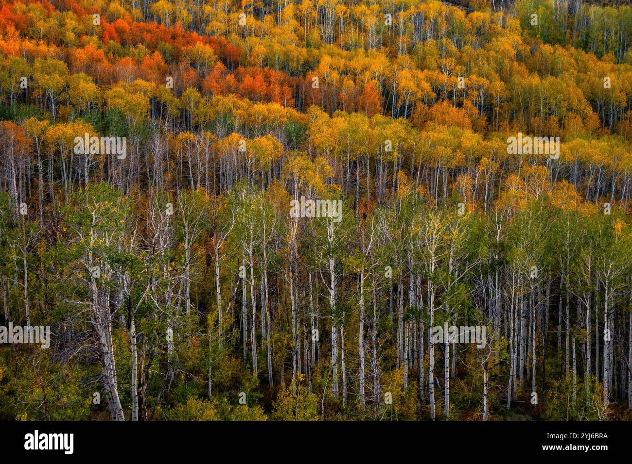 Jackman park campground hi-res stock photography and images - Alamy