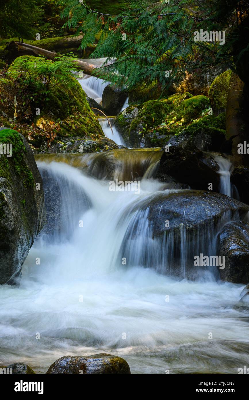 Fresh mountain water cascading over boulders with waterfalls in slow ...