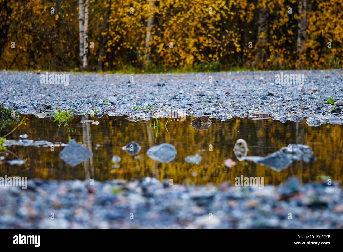 Close up of a puddle on gravel road Stock Photo - Alamy