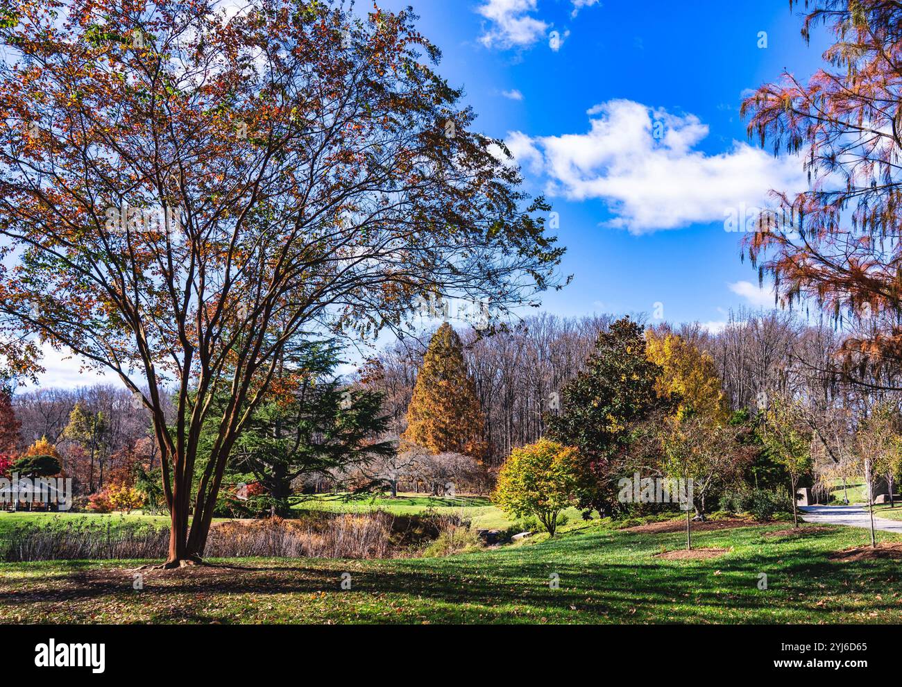 Meadow scene hi-res stock photography and images - Alamy