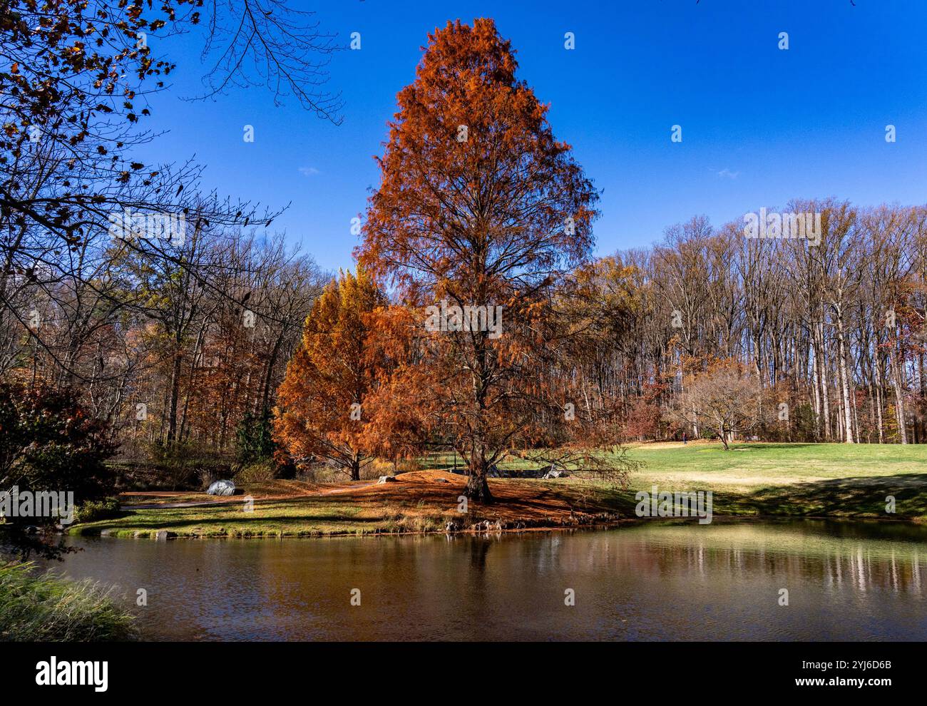 Meadow scene hi-res stock photography and images - Alamy