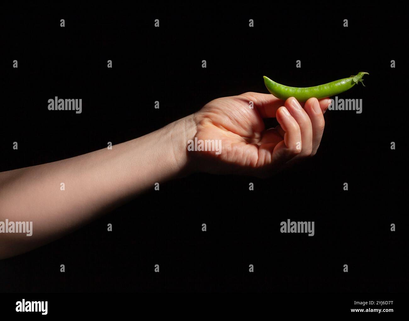Hand holding green pea pod hi-res stock photography and images - Alamy