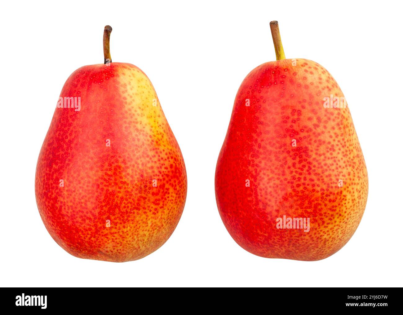 red pears path isolated on white Stock Photo - Alamy