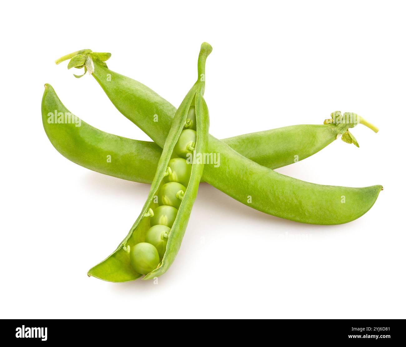 Open green pea pod hi-res stock photography and images - Alamy