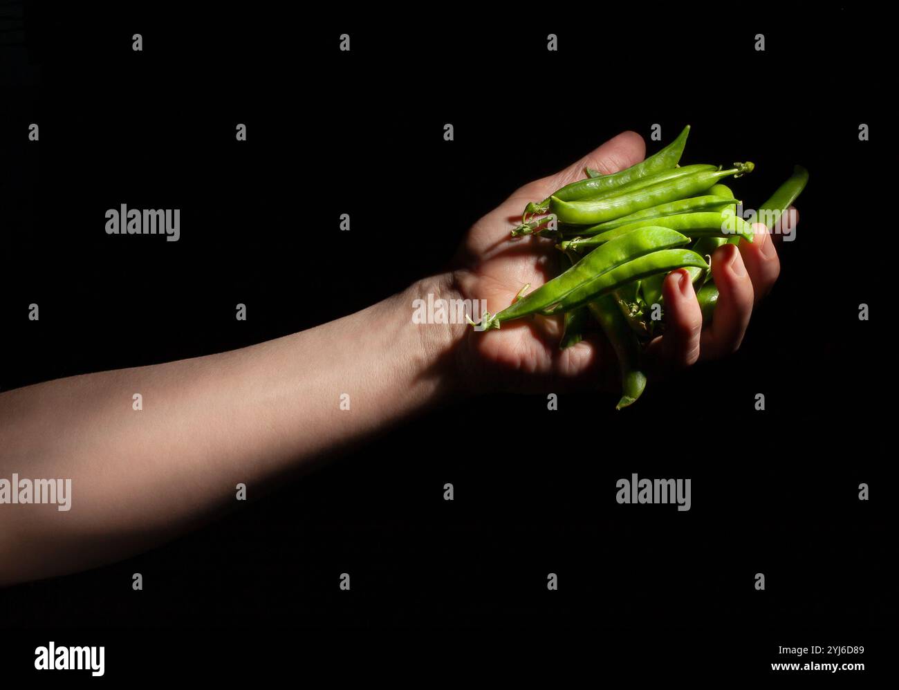 Hand holding green pea pod hi-res stock photography and images - Alamy