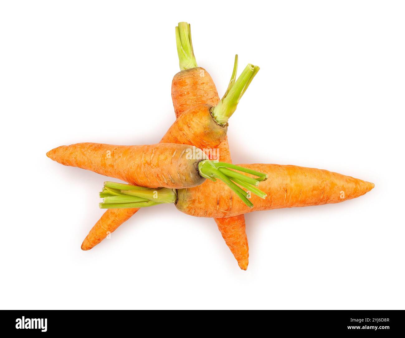 Top of the stem white hi-res stock photography and images - Alamy