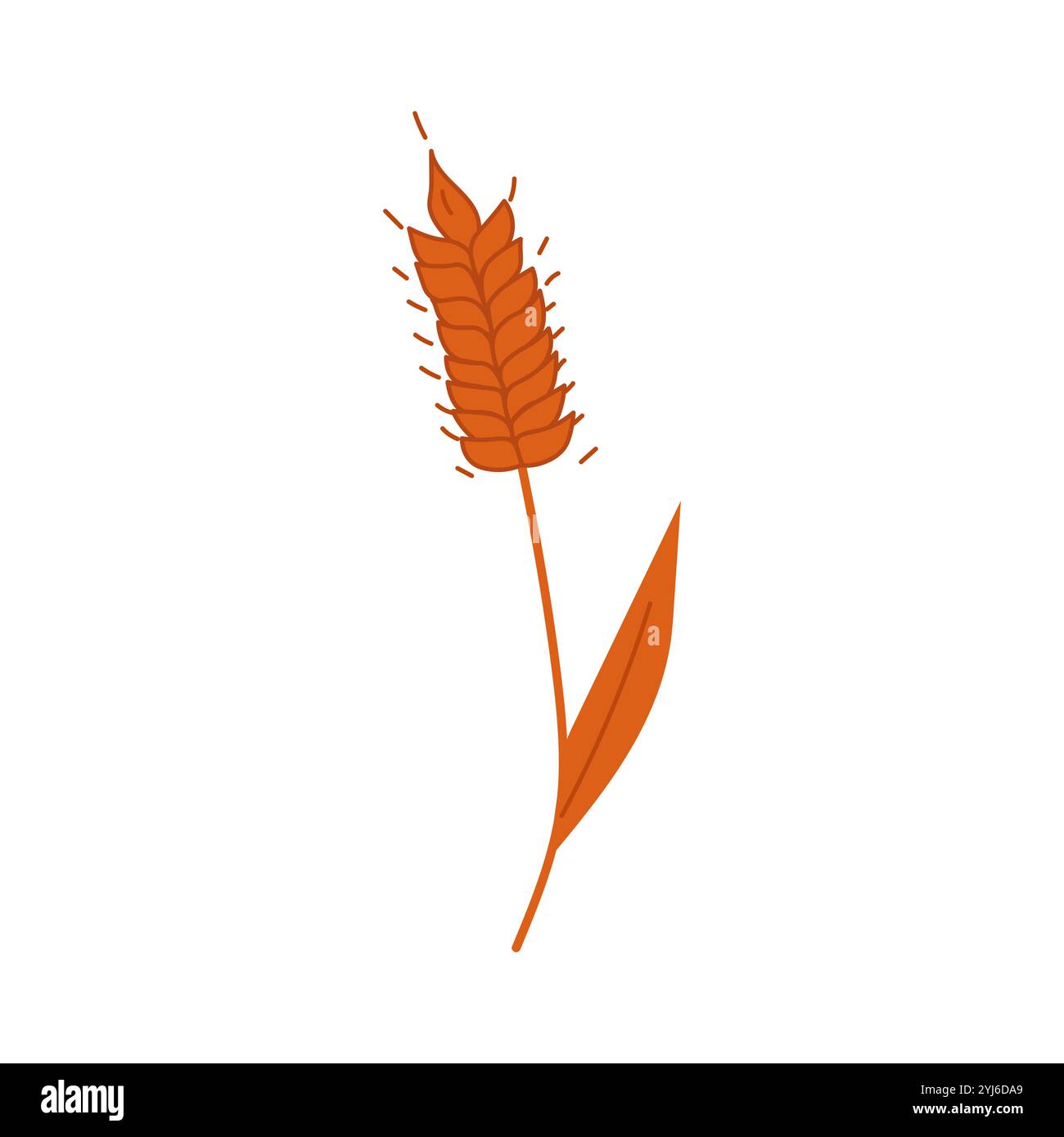 Simple hand drawn wheat. Wheat icon vector on white background Stock Vector Image & Art - Alamy