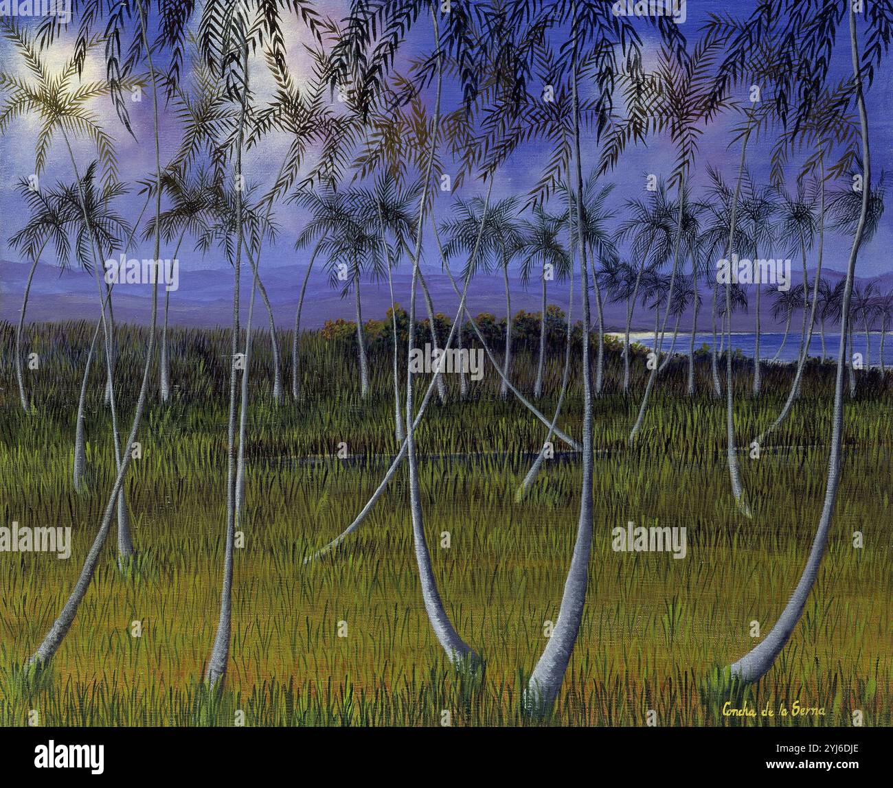 Concha de cerca hi-res stock photography and images - Alamy