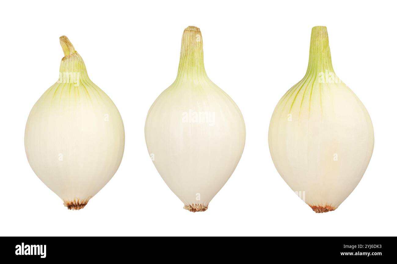 young onion path isolated on white Stock Photo - Alamy