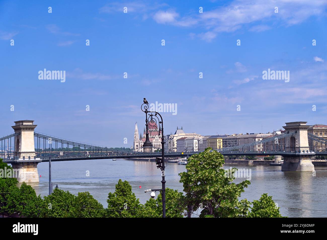 A crow stands on a street lamp in front of Chain bridge and Hungarian ...