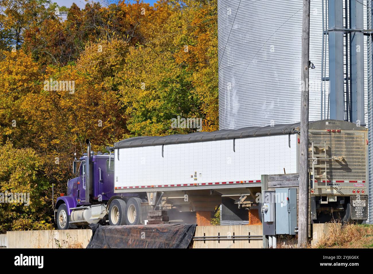 Hazelhurst, Illinois, USA. A grain truck unloads its cago at a small ...