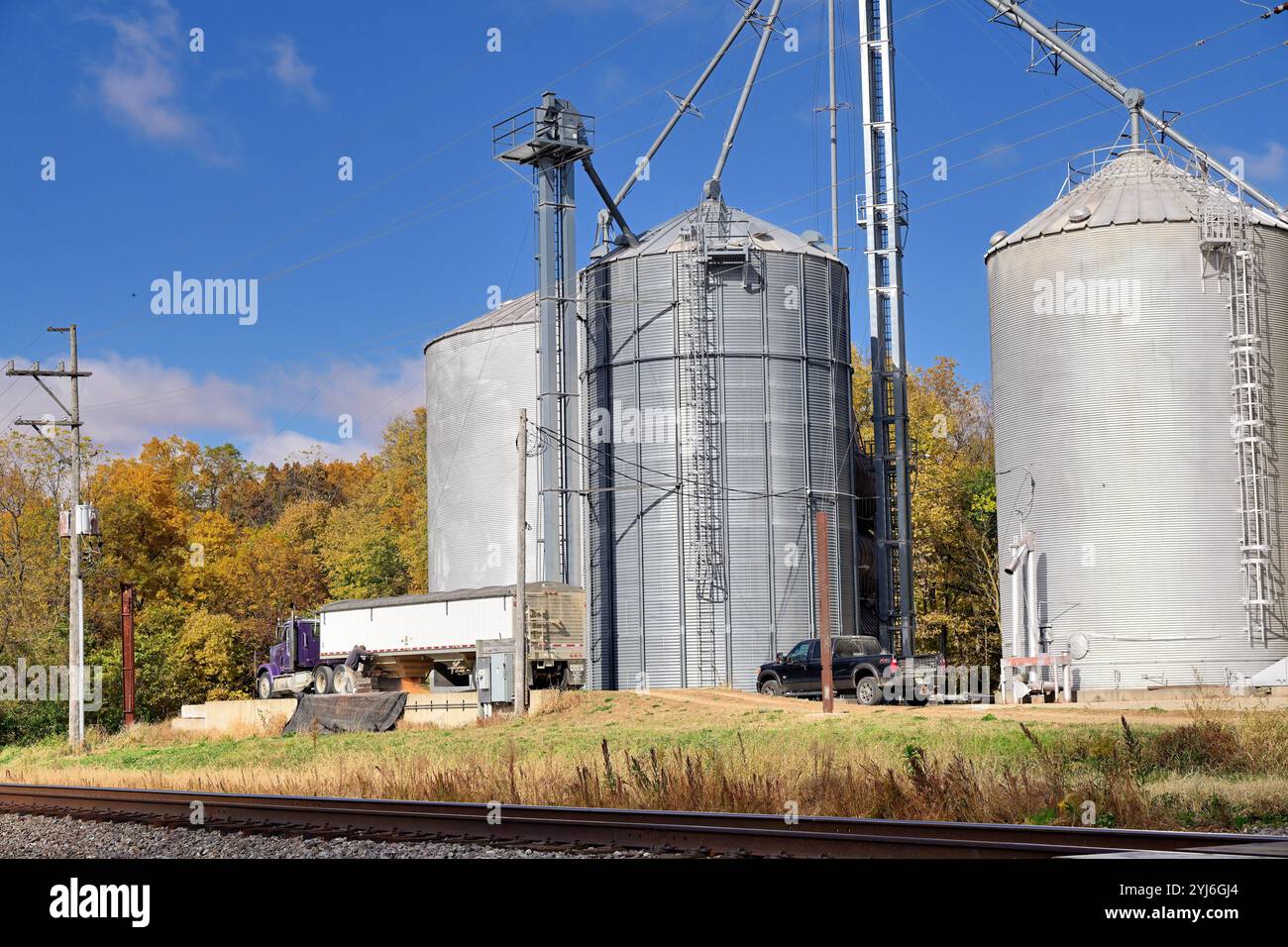 Hazelhurst, Illinois, USA. A grain truck unloads its cago at a small ...