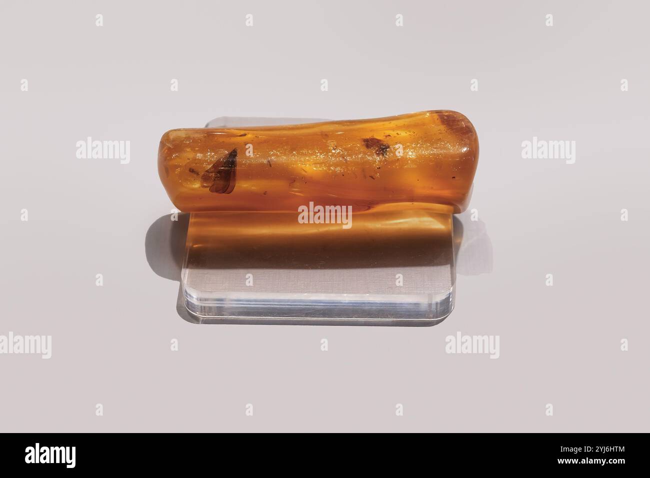Amber with Fossilized Insect Specimens Stock Photo - Alamy