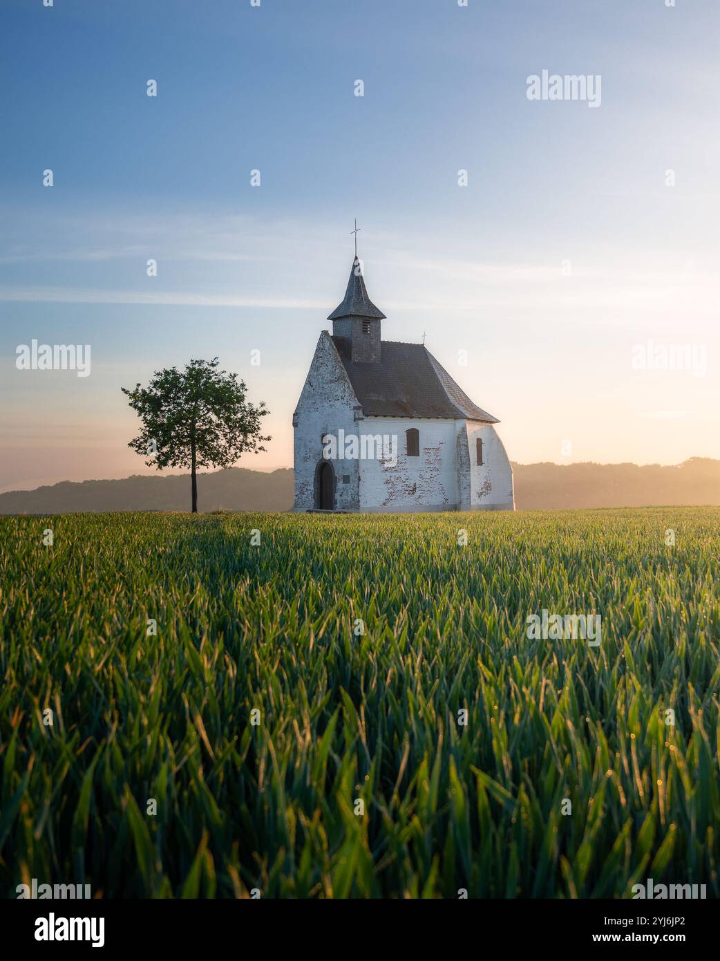 Try au chene hi-res stock photography and images - Alamy