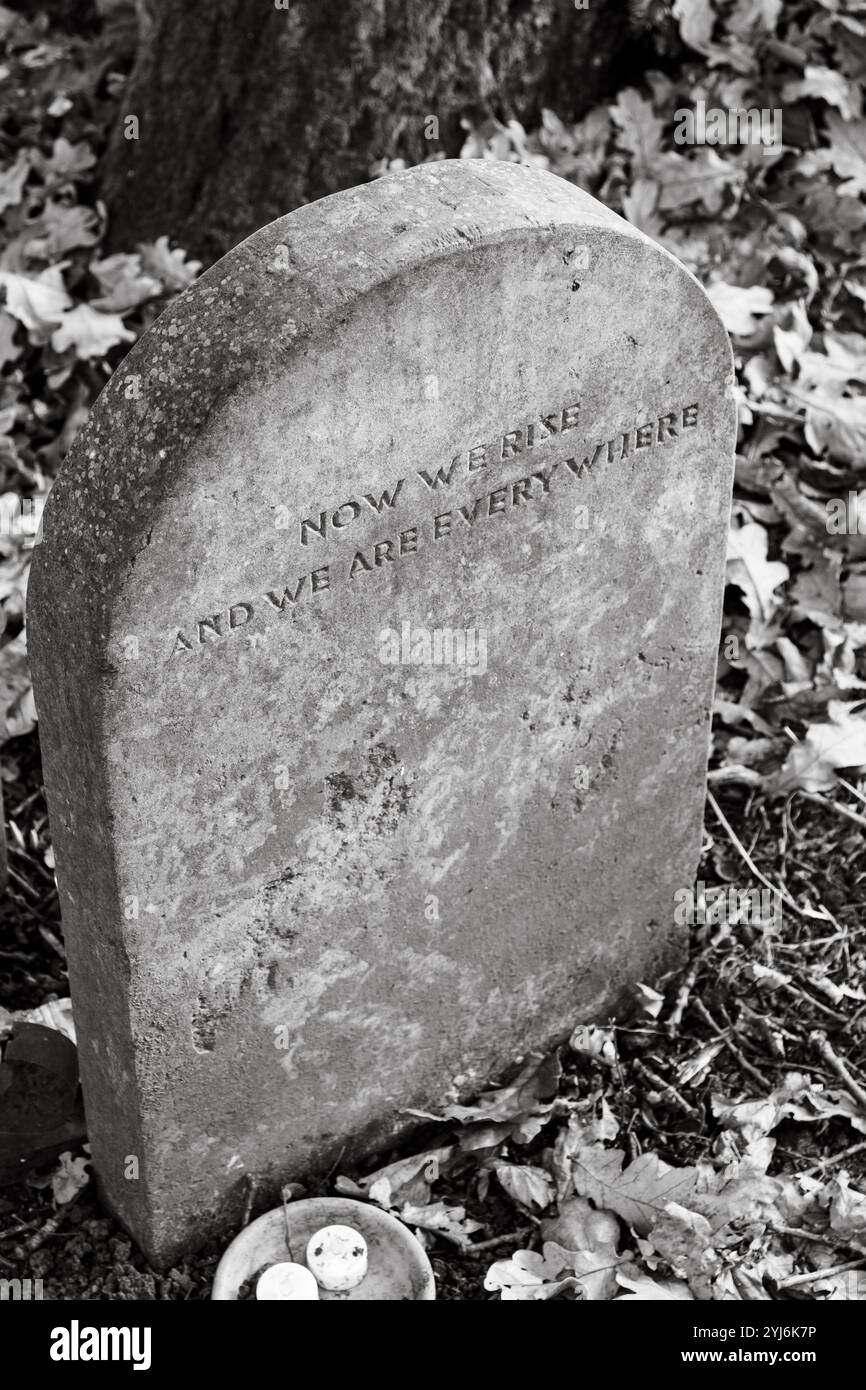 Grave stone of Singer Songwriter Nick Drake, Churchyard of St Mary ...