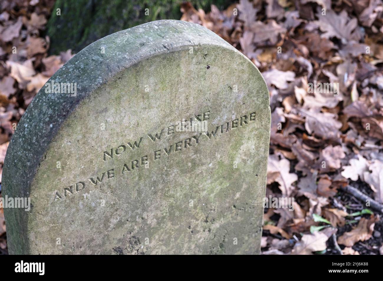 Grave stone of Singer Songwriter Nick Drake, Churchyard of St Mary ...