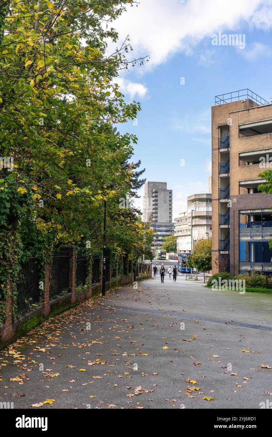 Kingsbridge lane hi-res stock photography and images - Alamy