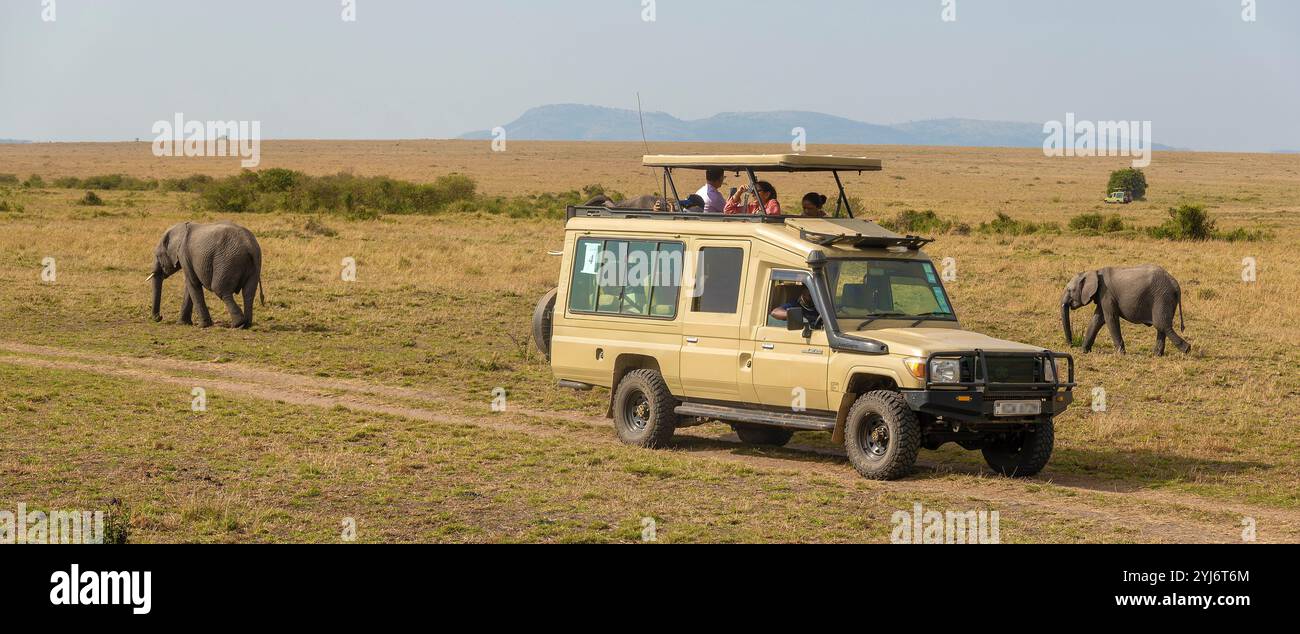 Elephants safari vehicle hi-res stock photography and images - Alamy