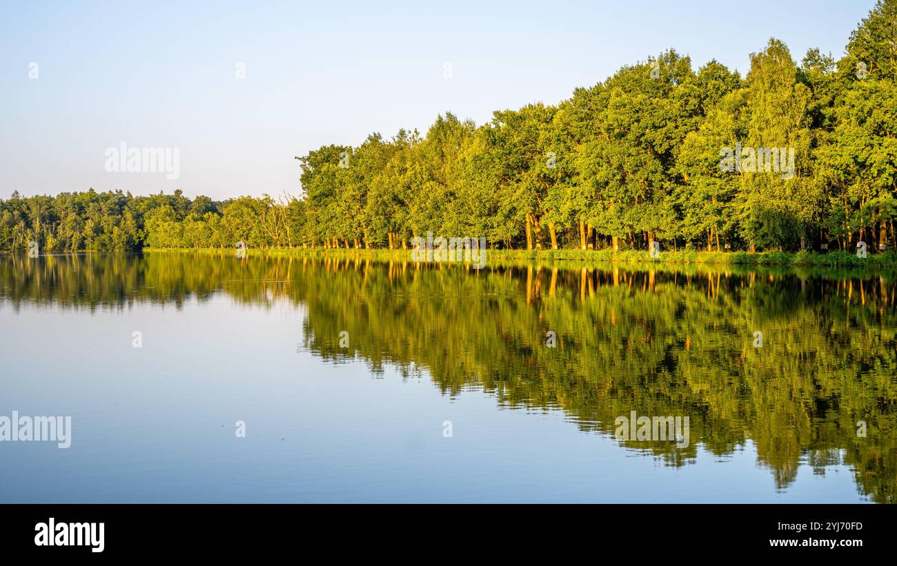The serene landscape of Trebonsko Pond System showcases lush greenery ...