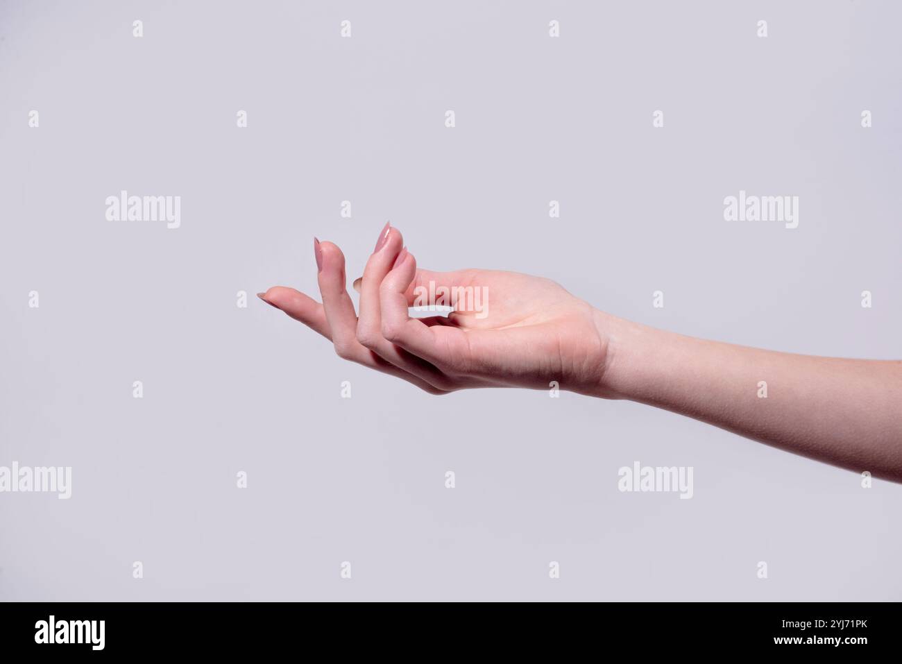 Beautiful Woman Hands. Female Hands. Spa and Manicure concept. Female ...