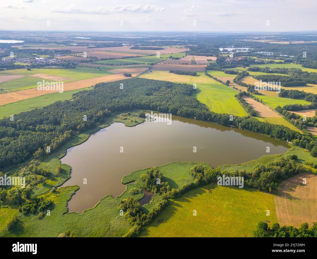 Aerial view dense forest rolling hi-res stock photography and images ...