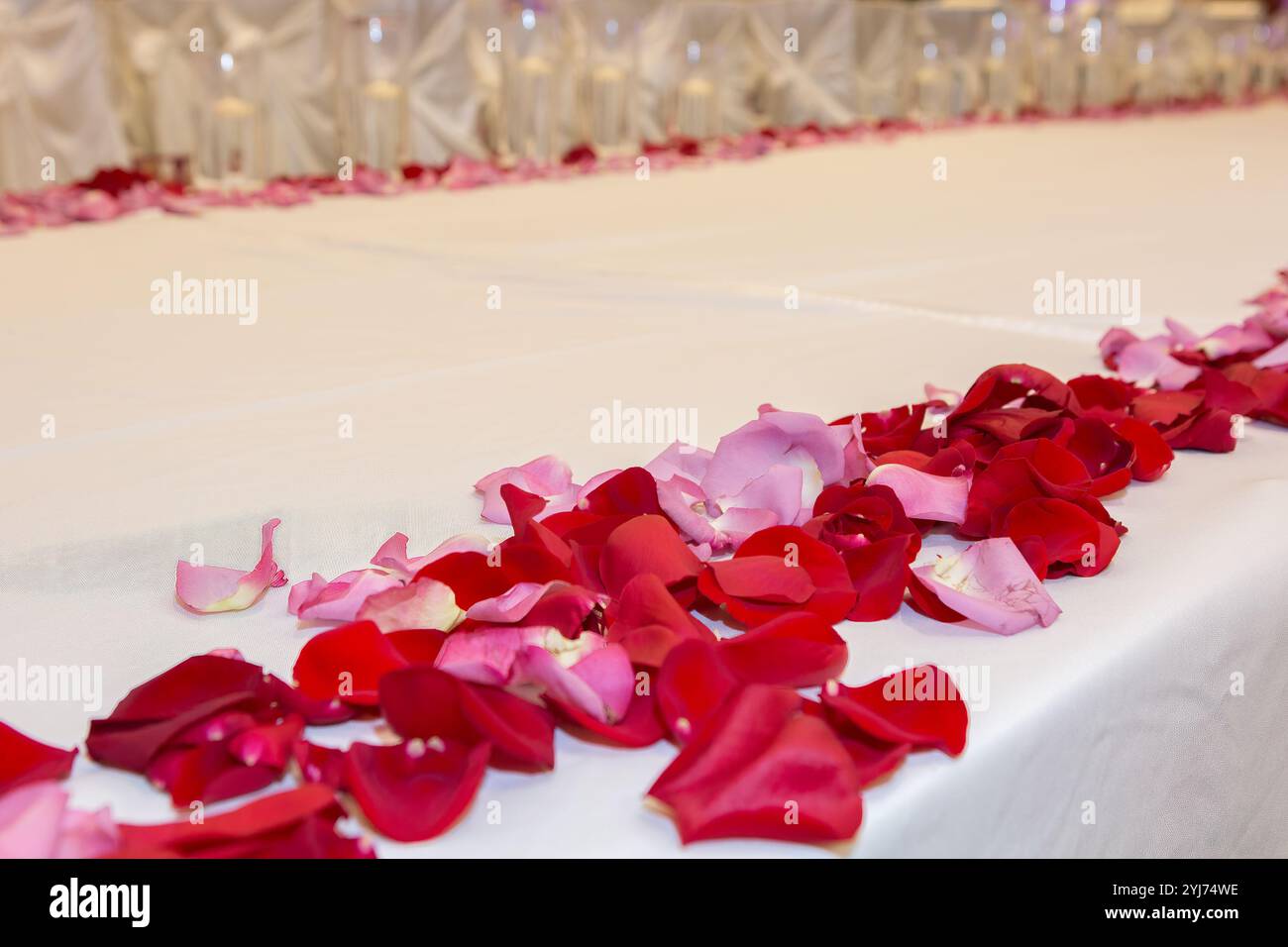 South indian wedding ceremony hi-res stock photography and images - Alamy