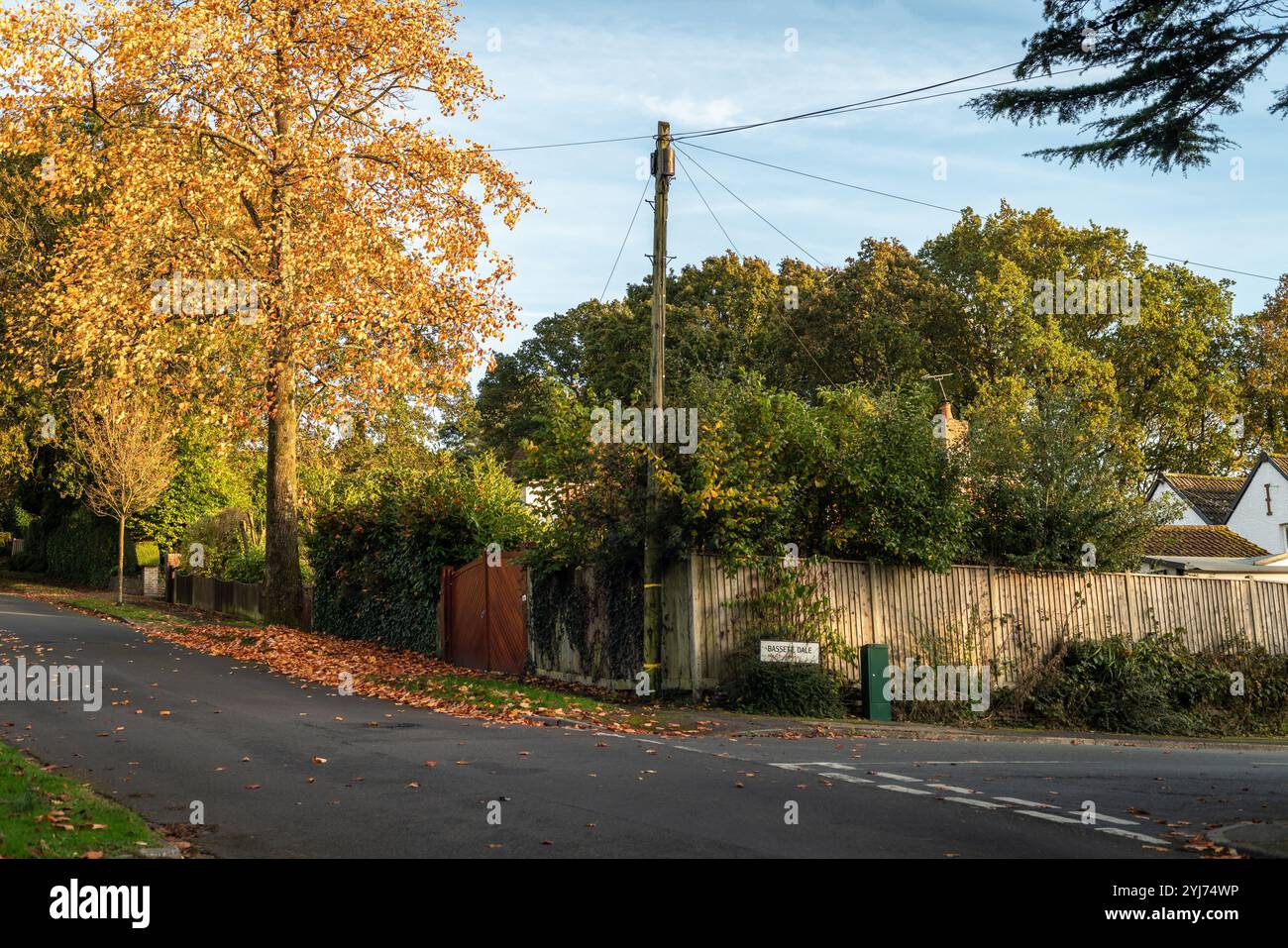 Southampton suburban street hi-res stock photography and images - Alamy