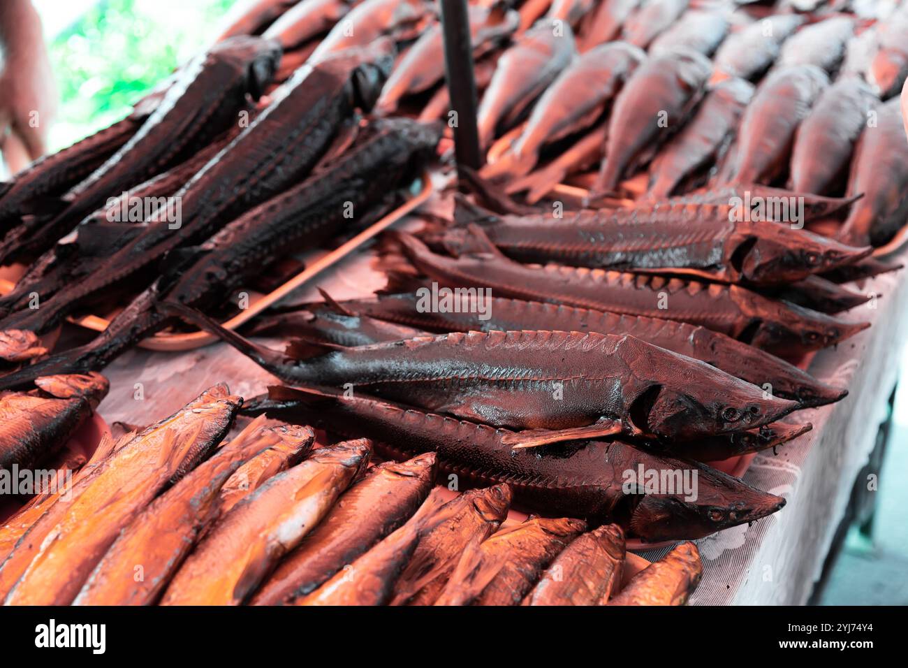 Smoked fish on shelves of Volga region. Russia Stock Photo - Alamy