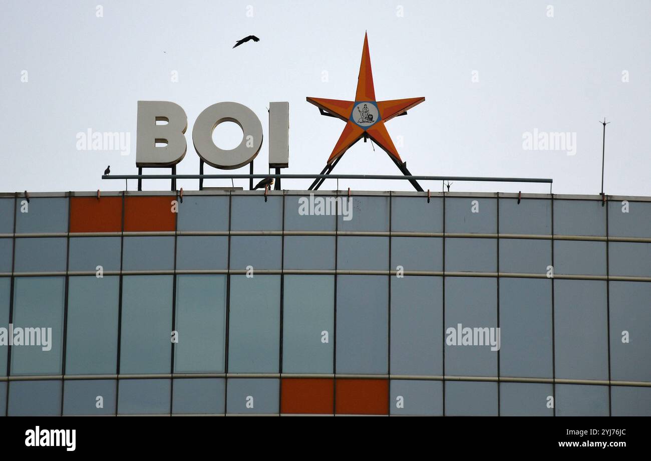 Boi logo hi-res stock photography and images - Alamy
