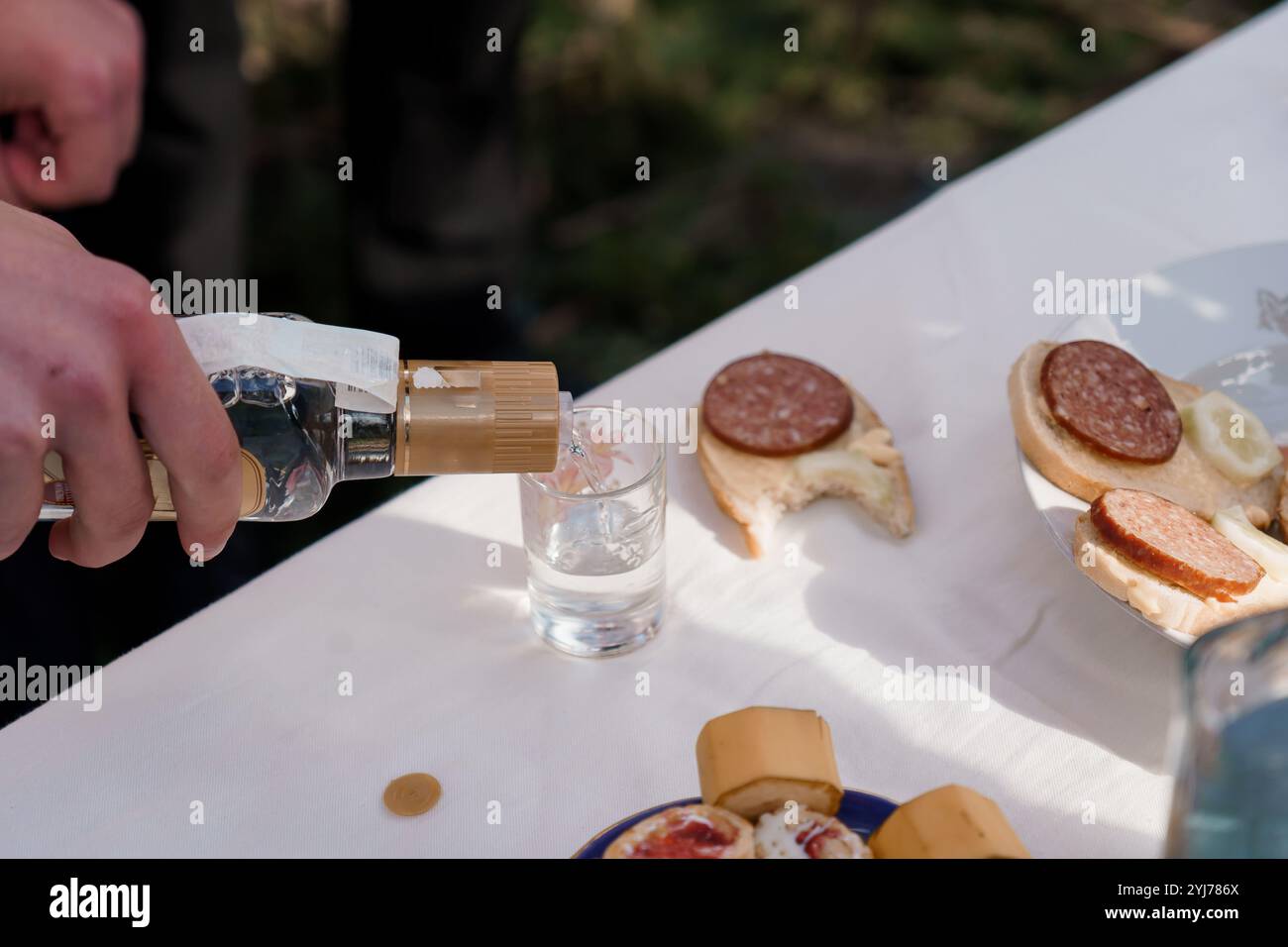 Outdoor Gathering with Appetizers and Spirits Being Poured Stock Photo ...