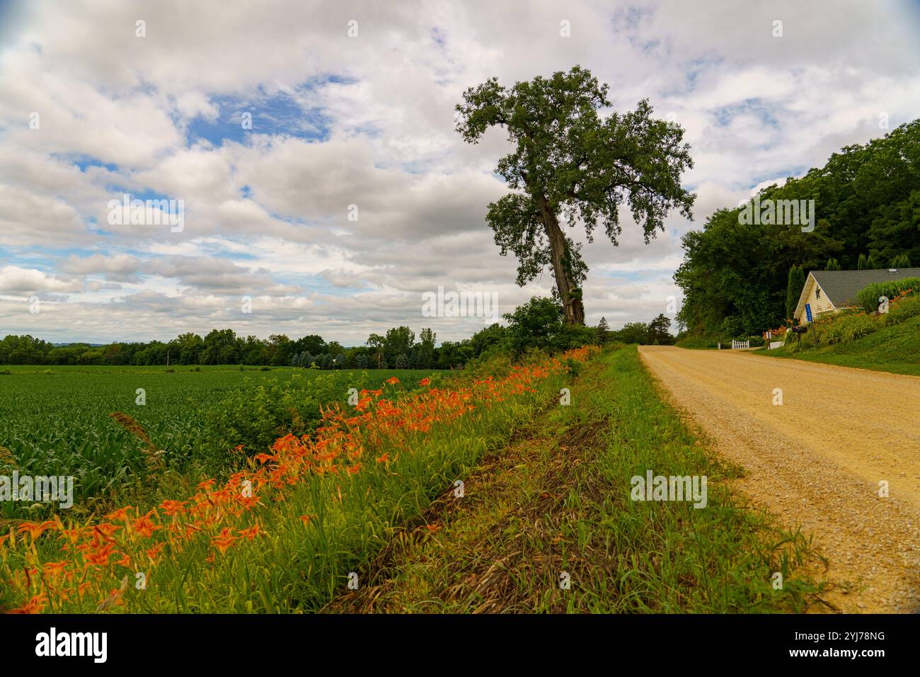 Contry road hi-res stock photography and images - Alamy
