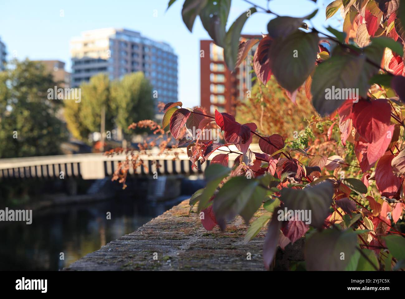 Autumn colours on Bagley Walk, at Coal Drops Yard, Kings Cross, London ...