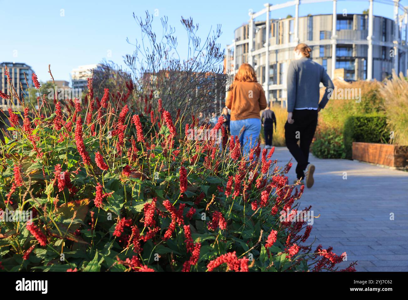 Autumn colours on Bagley Walk, at Coal Drops Yard, Kings Cross, London ...