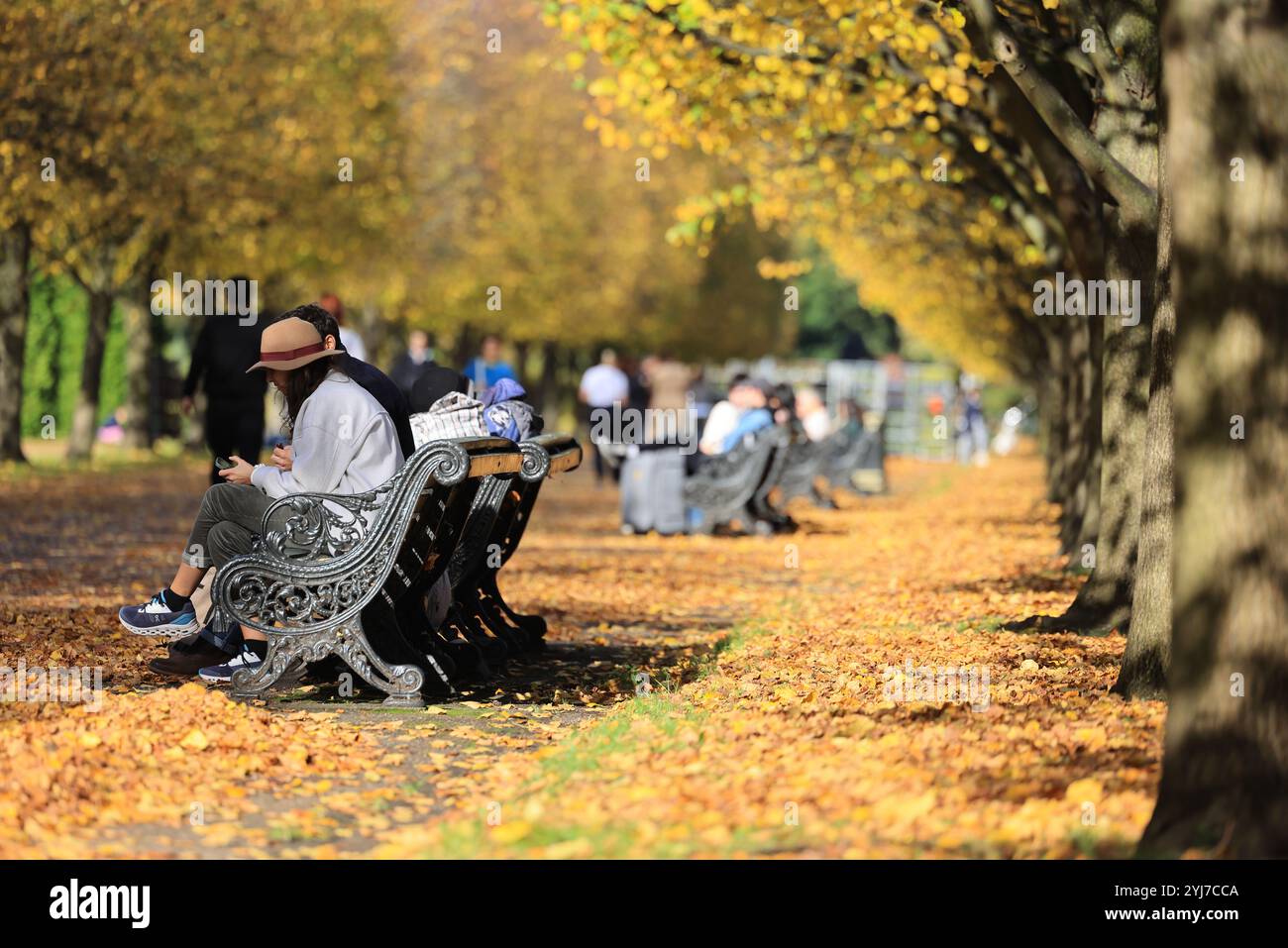 Autumn colours on the Broad Walk in Regents Park, London, UK Stock ...